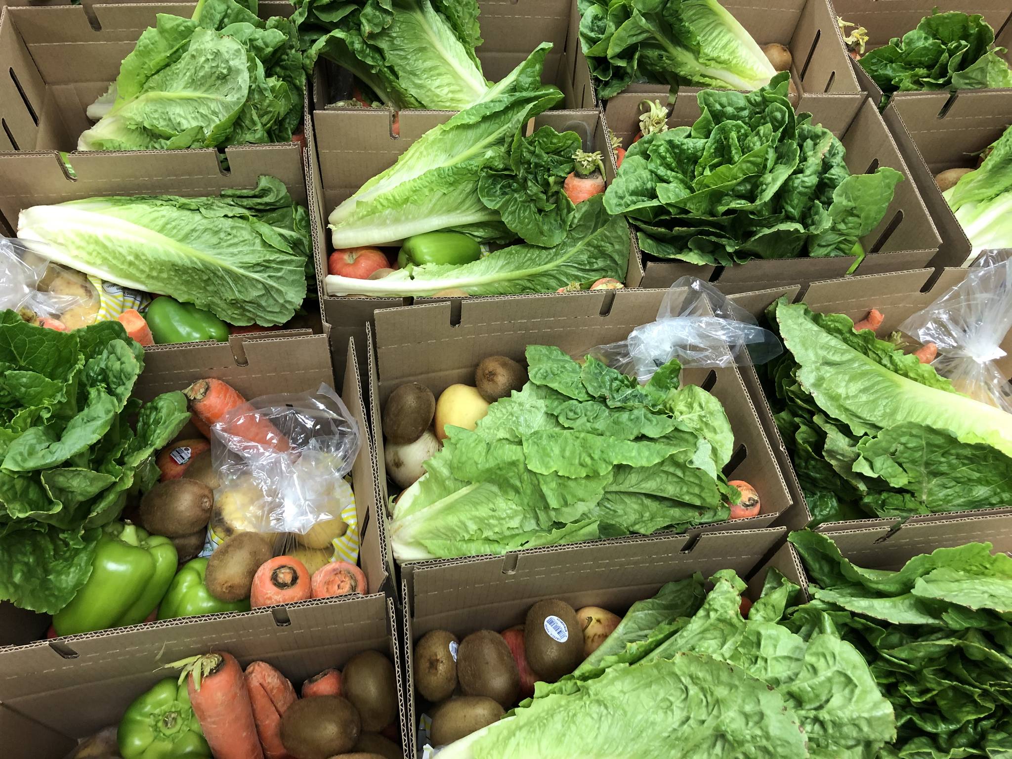 Good food box Mississauga - Good food delivery – Sadias Tiffin Service